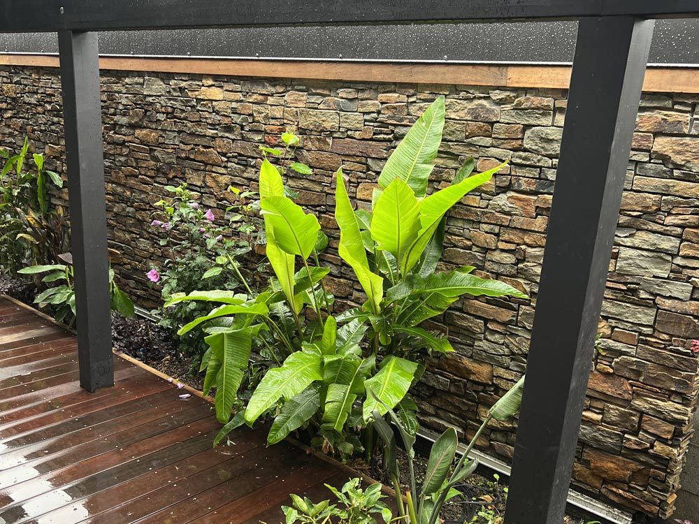 Garden Studios Wellington | Bespoke Garden Rooms Lower Hutt